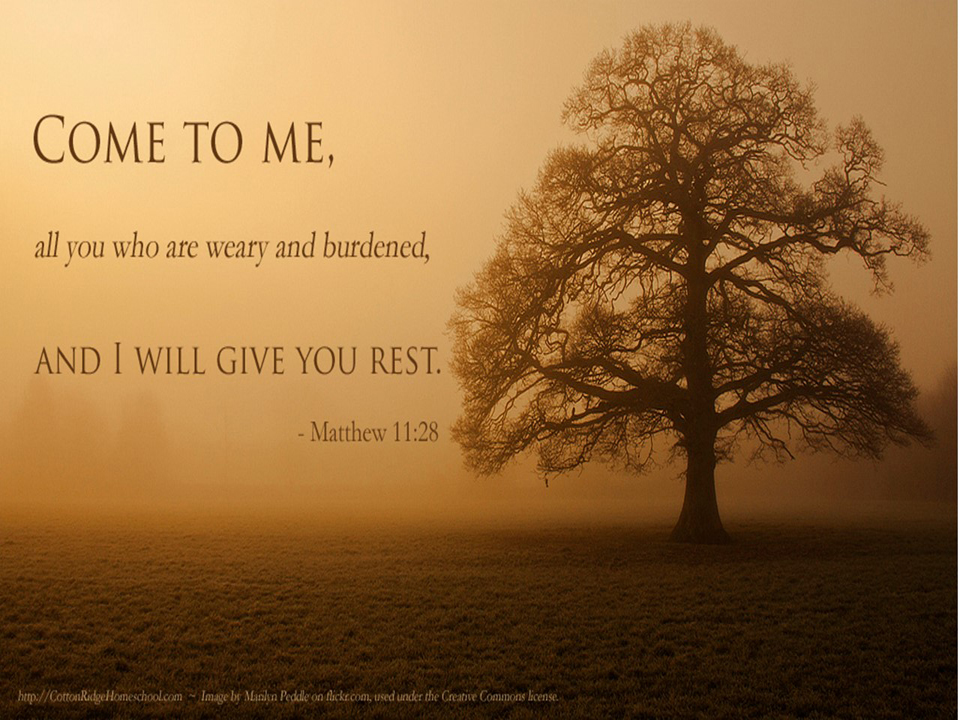 The Oak Tree Sermon – Open Door Baptist Church