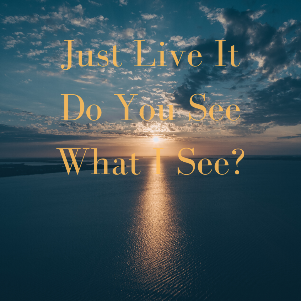 JUST LIVE IT – DO YOU SEE WHAT I SEE? – Open Door Baptist Church
